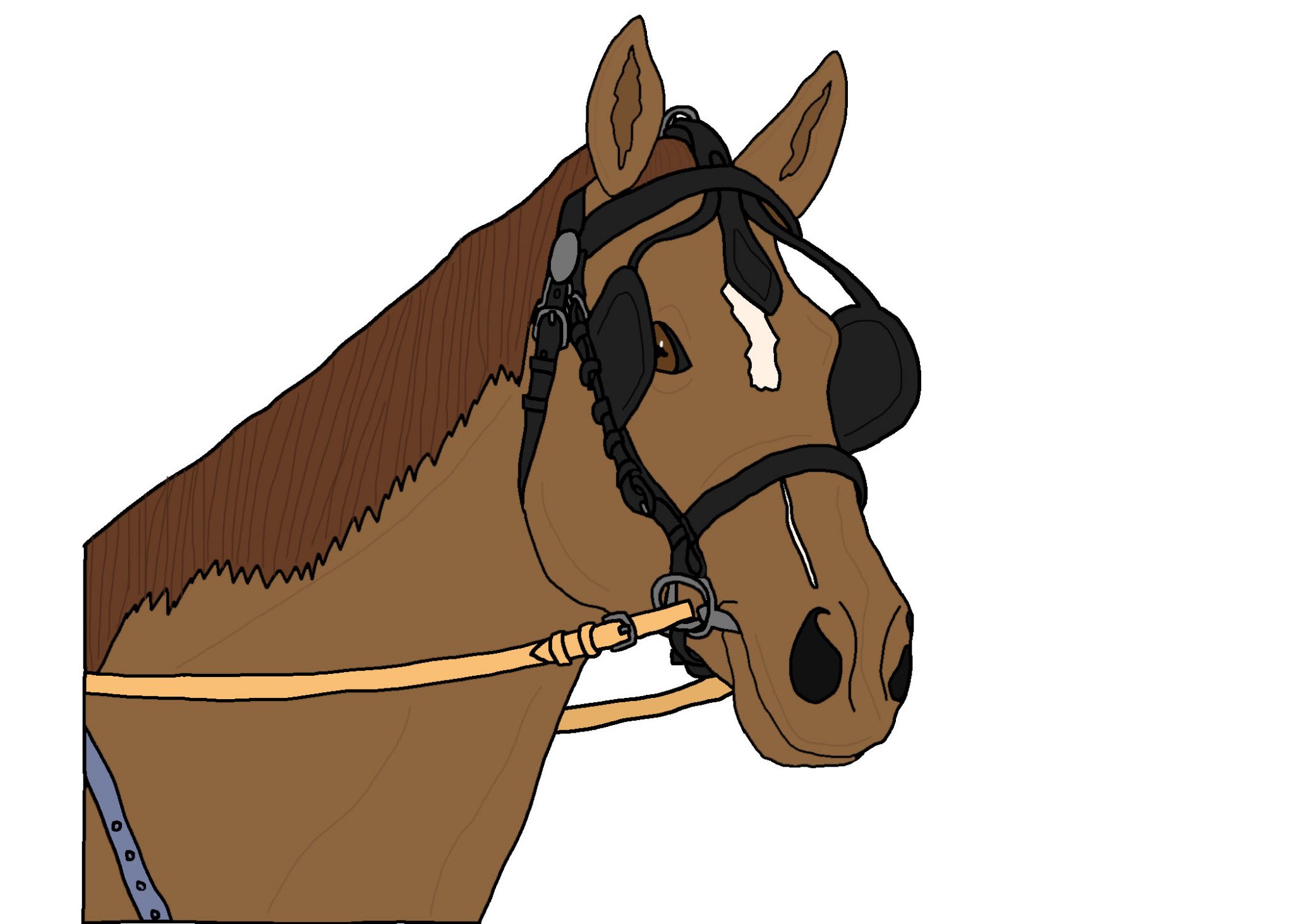 Run Your Race | The Superbook Show